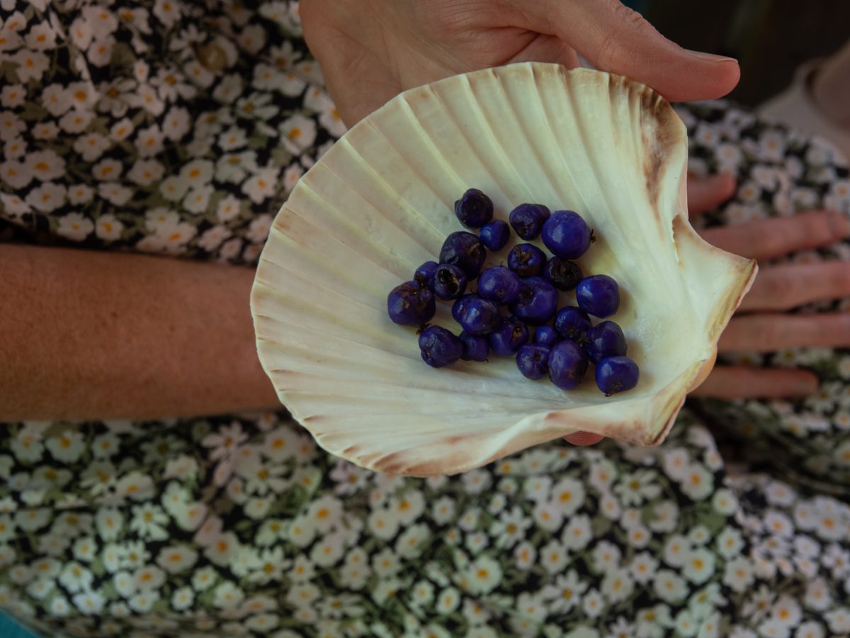 Discovering First Nations Cuisine with Murri Tukka - Queensland ...